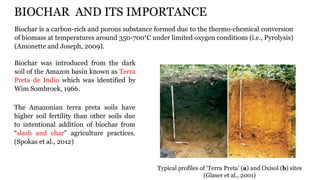 master seminar on role of biochar on enhancing the crop productivity.pptx