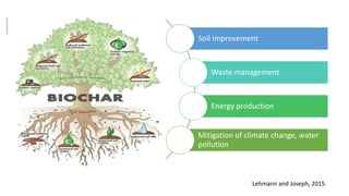master seminar on role of biochar on enhancing the crop productivity.pptx
