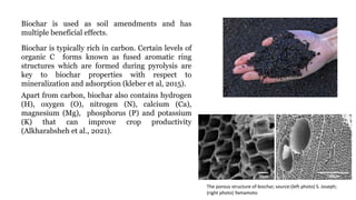 master seminar on role of biochar on enhancing the crop productivity.pptx