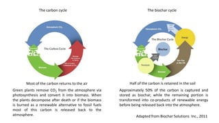 master seminar on role of biochar on enhancing the crop productivity.pptx