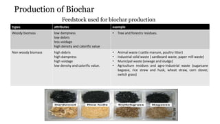 master seminar on role of biochar on enhancing the crop productivity.pptx