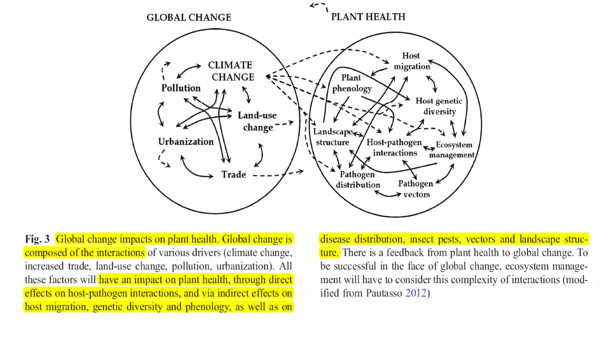 Environment-Pathogen Interaction in Plant Diseases | PPTX