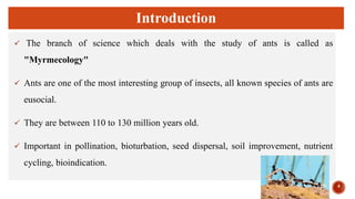 master seminar (1).pptx