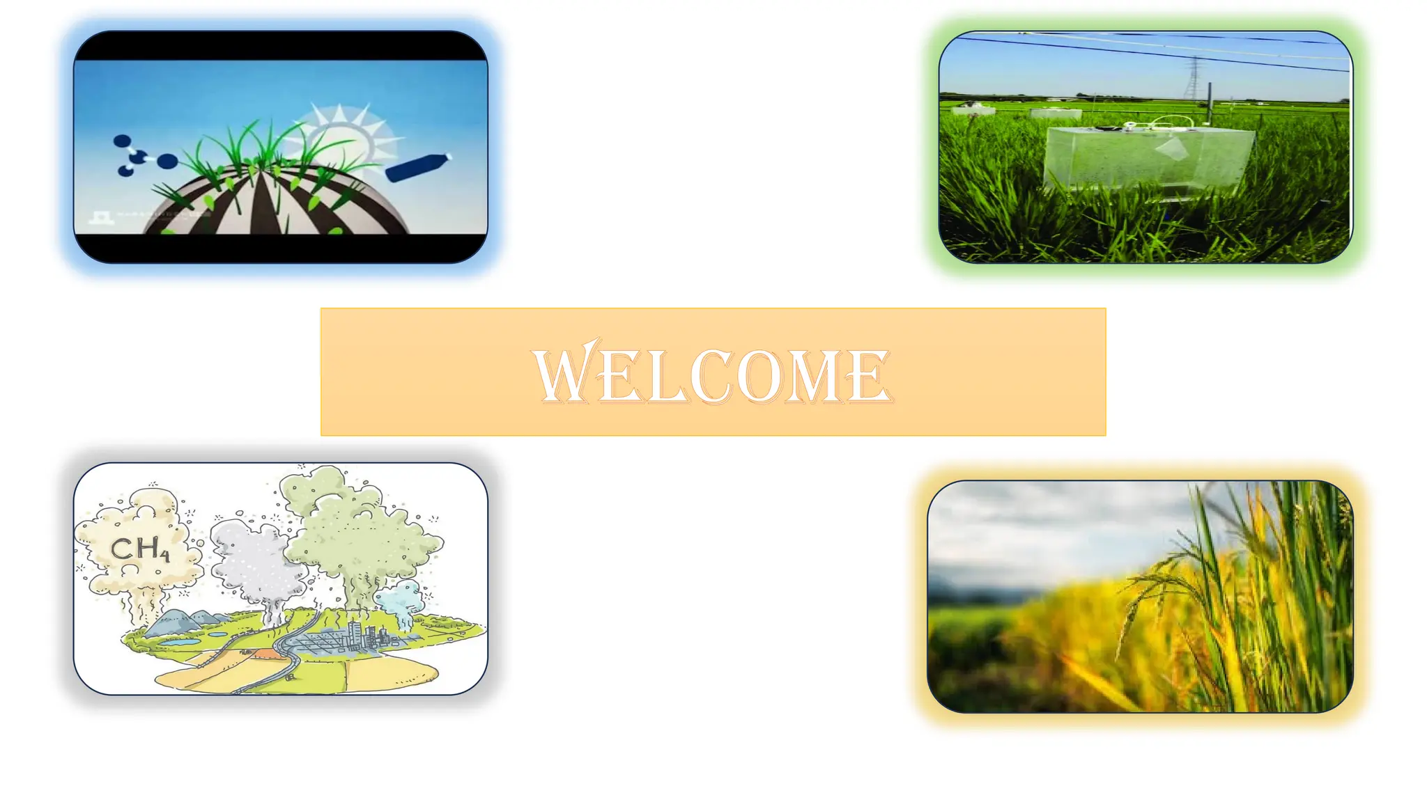 METHANE EMMISION (CH3) OF RICE FIELD.pptx