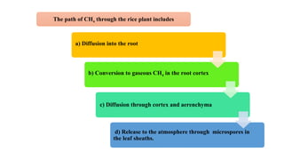 METHANE EMMISION (CH3) OF RICE FIELD.pptx