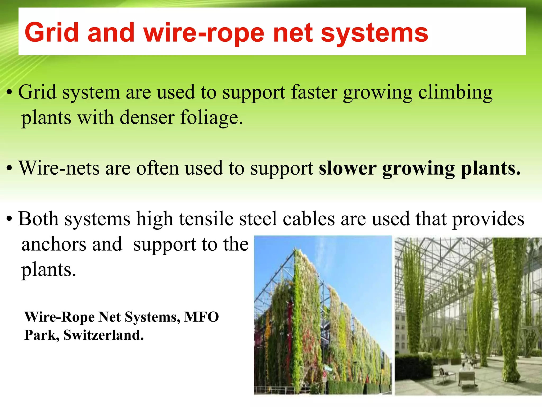 Vertical garden concept and establishment | PPT