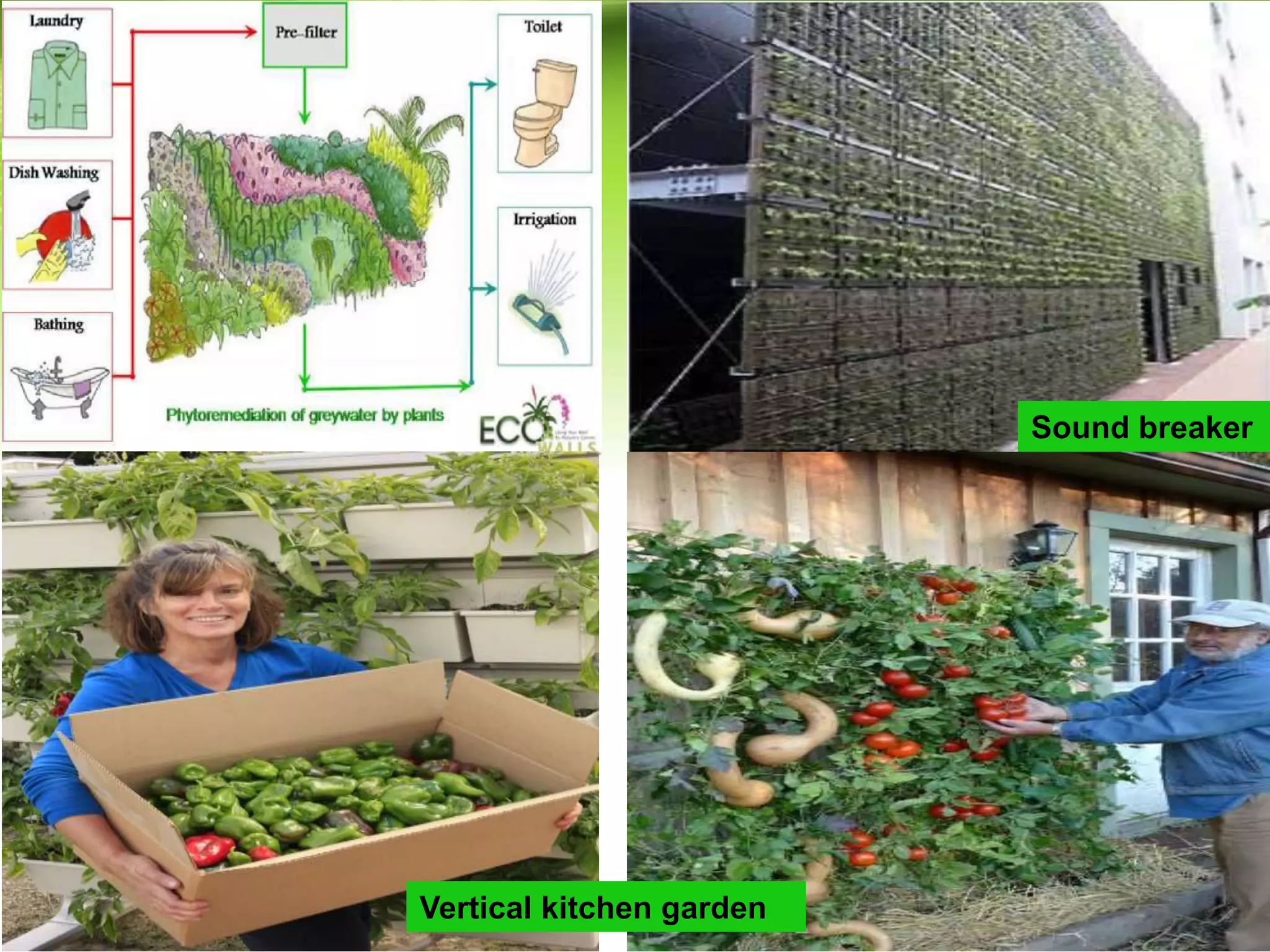 Vertical garden concept and establishment | PPT