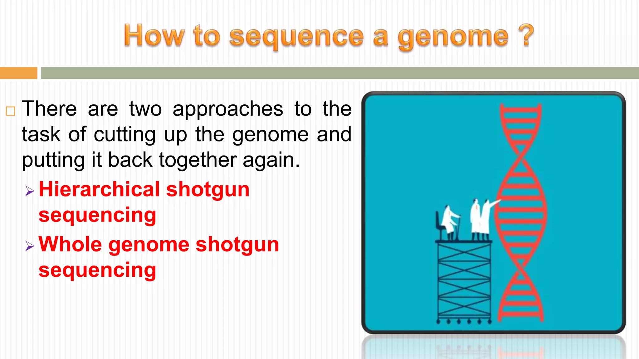 CROP GENOME SEQUENCING | PPTX
