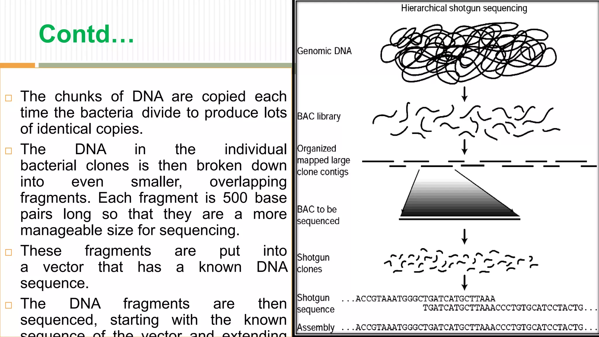 CROP GENOME SEQUENCING | PPTX