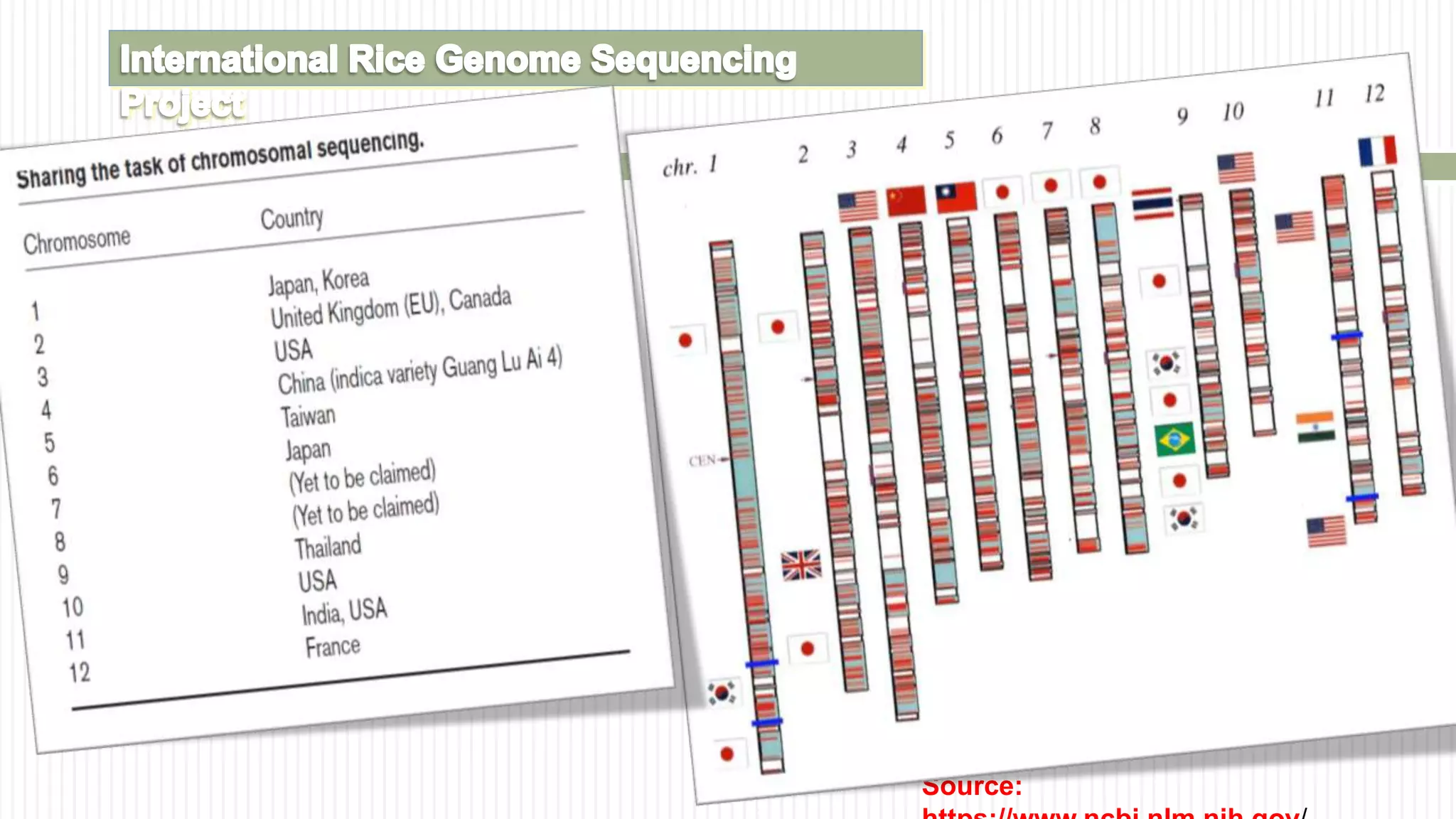 CROP GENOME SEQUENCING | PPTX