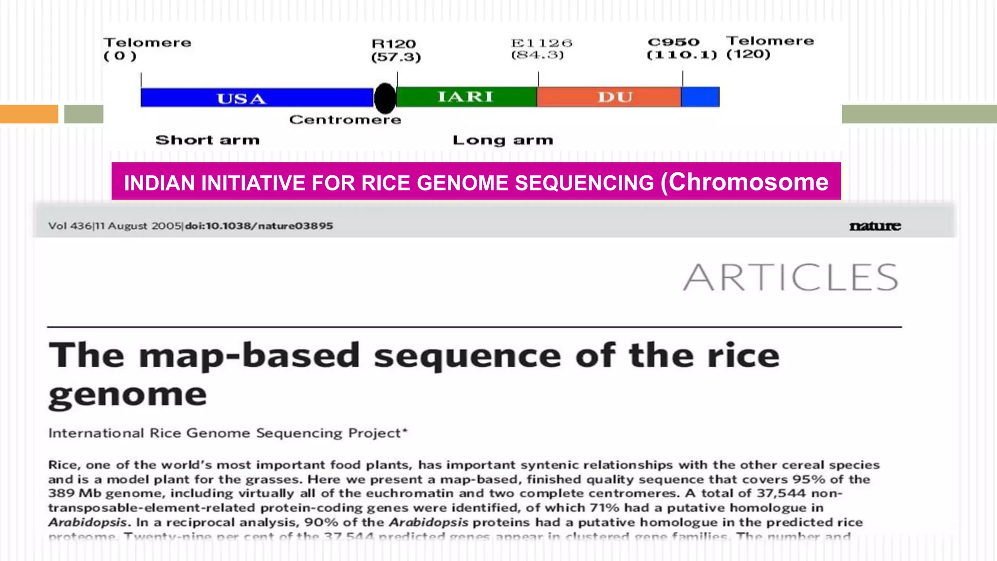 CROP GENOME SEQUENCING | PPTX