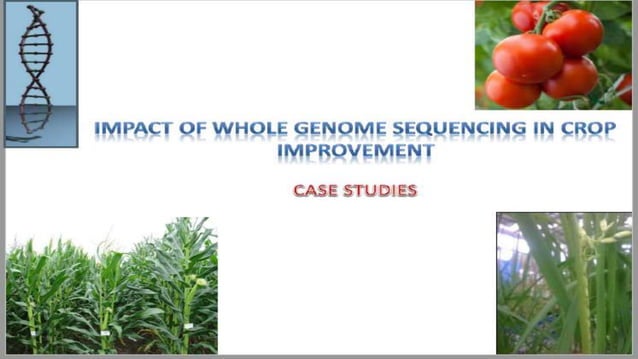 CROP GENOME SEQUENCING | PPTX