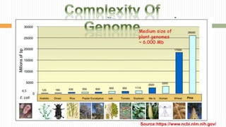 CROP GENOME SEQUENCING | PPTX