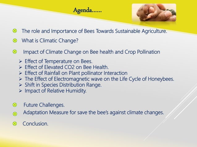 Master Seminar on Impact of Climate Change on Honeybee In View of ...