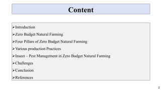 Zero Budget Natural Farming MasterSeminerppt.pptx