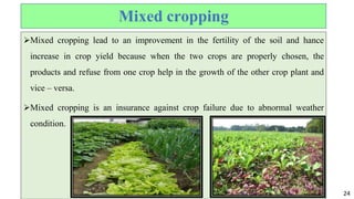 Zero Budget Natural Farming MasterSeminerppt.pptx