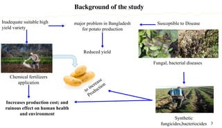 Growth and yield of potato to Trichoderma | PPTX