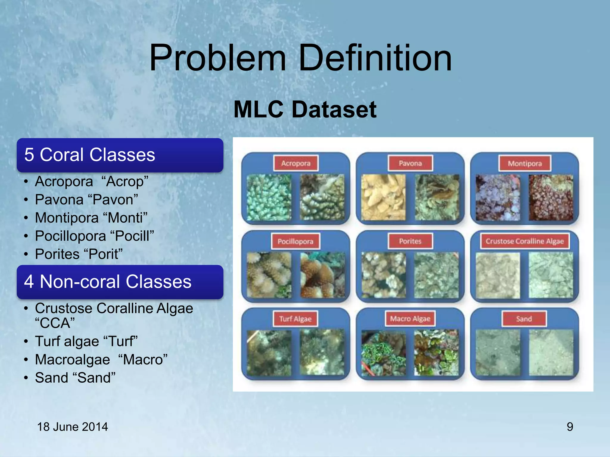 Msc Thesis Sparse Coral Classification Using Deep Convolutional Neural Networks Ppt