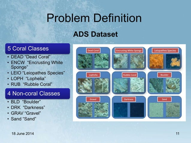 Msc Thesis Sparse Coral Classification Using Deep Convolutional Neural Networks