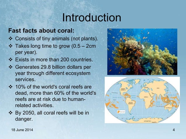 Msc Thesis Sparse Coral Classification Using Deep Convolutional