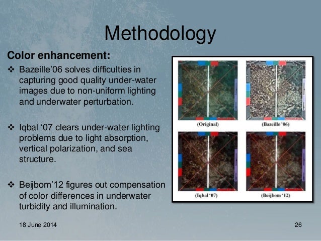 Msc Thesis Sparse Coral Classification Using Deep Convolutional Neu