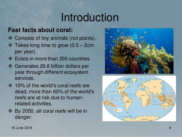 Msc Thesis Sparse Coral Classification Using Deep Convolutional Neu