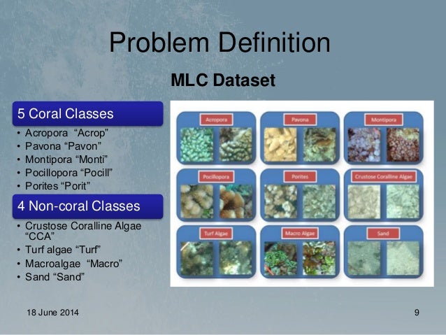 Msc Thesis Sparse Coral Classification Using Deep Convolutional Neu 