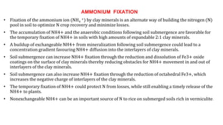 Nitrogen transformations in wet soils | PPTX