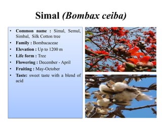 MASTER'S SEMINAR.pptx