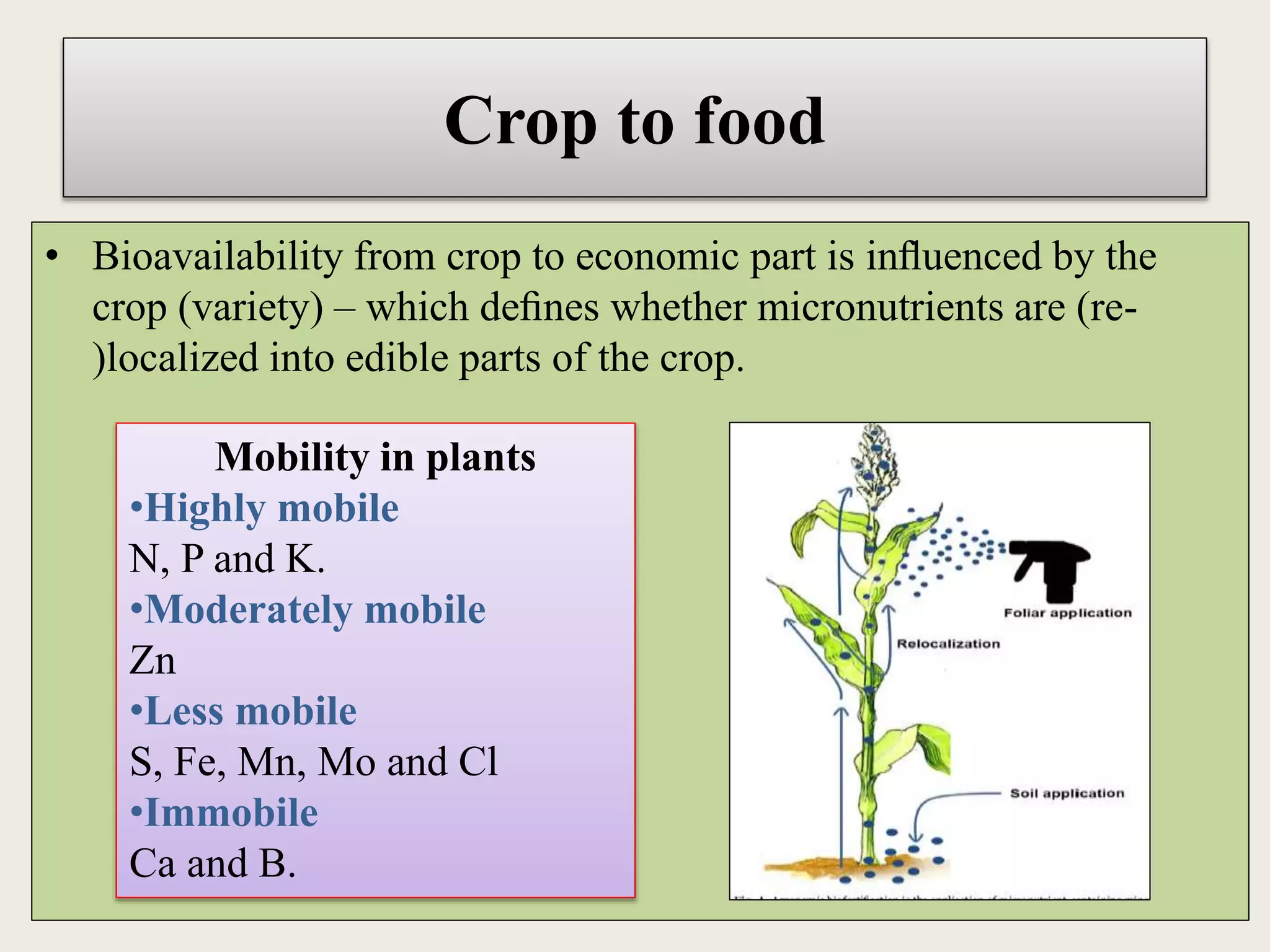 biofortification | PPTX