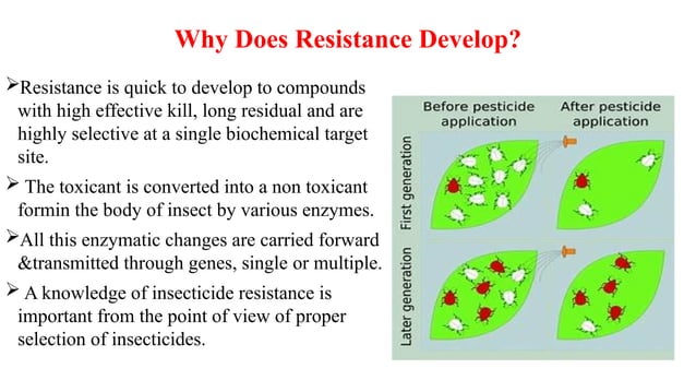 DEVELOPMENT OF RESISTANCE TO INSECTICIDES BY INSECTS | PPT