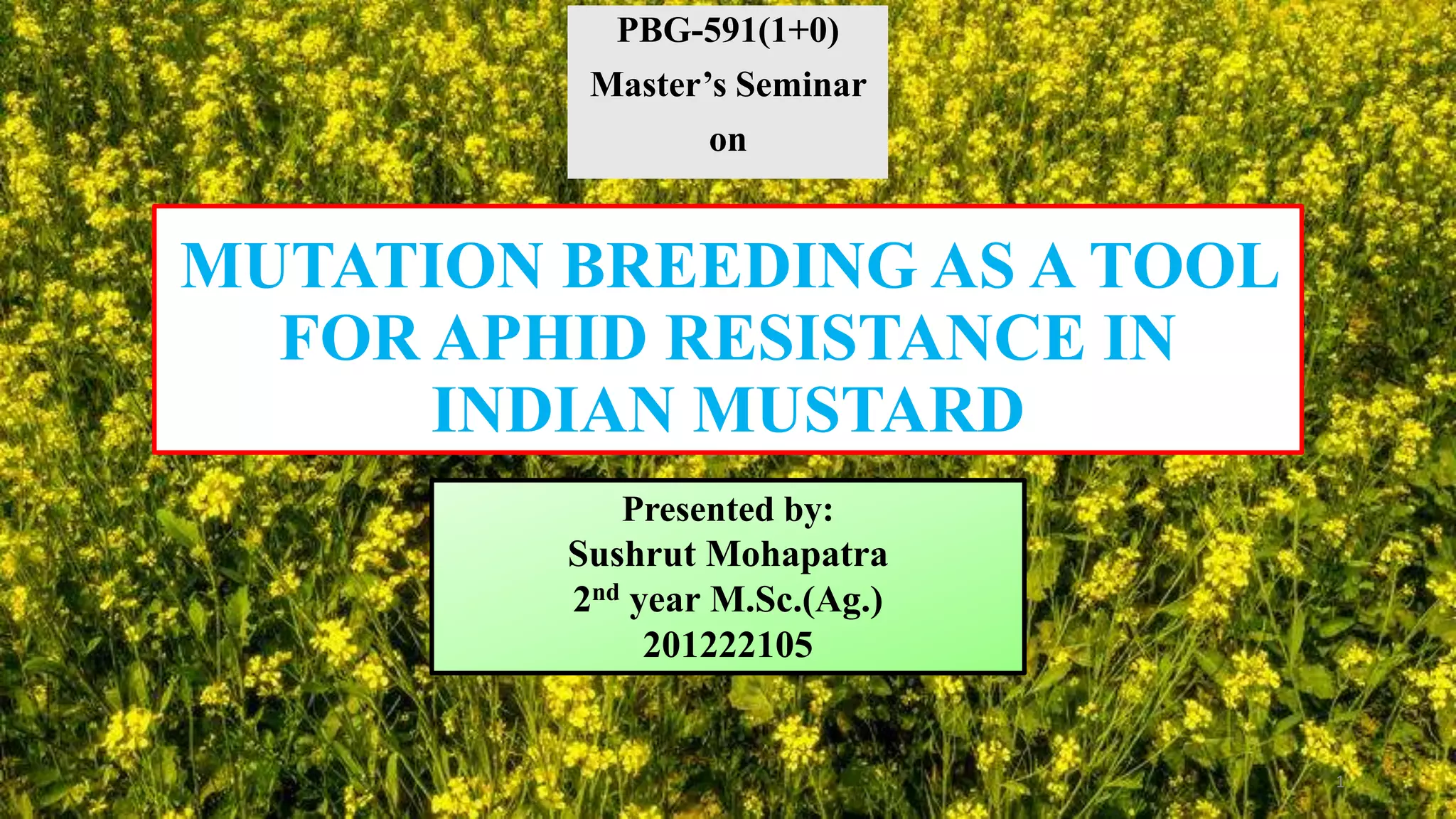 Mutation Breeding as a tool for aphid resistance in Indian mustard | PPTX