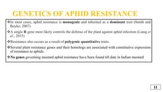 Mutation Breeding as a tool for aphid resistance in Indian mustard | PPTX