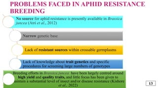 Mutation Breeding as a tool for aphid resistance in Indian mustard | PPTX