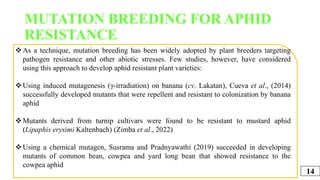 Mutation Breeding as a tool for aphid resistance in Indian mustard | PPTX