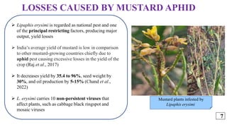 Mutation Breeding as a tool for aphid resistance in Indian mustard | PPTX