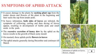 Mutation Breeding as a tool for aphid resistance in Indian mustard | PPTX