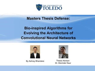 Bio-inspired Algorithms for Evolving the Architecture of Convolutional ...