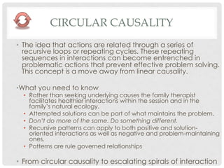 Linear Vs. Circular Causality: Systemic Therapy Series – QOLOAA
