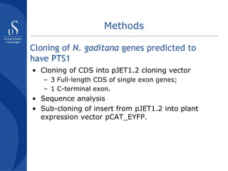 Nannochloropsis gaditana, Master thesis | PPTX
