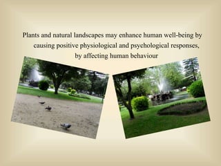 Feelings Evoked by Nature | PPTX