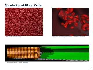 Master Thesis Presentation: Numerical Simulation of Modelled Blood ...