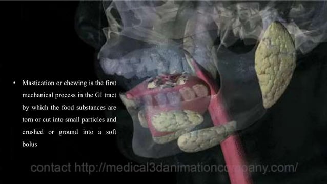 Mastication and deglutition | PPTX