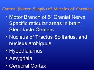 Mastication and deglutition i | PPT | Ear, Nose and Throat Conditions ...
