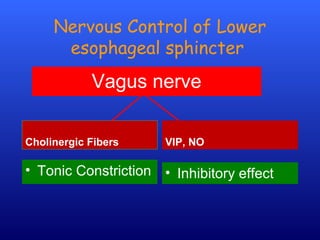 Mastication and deglutition ii | PPT | Digestive Disorders | Diseases ...