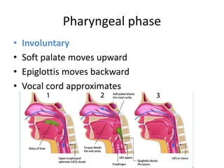 Physiology Of GIT Mastication and Deglutition reflex.pptx