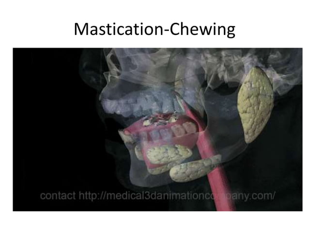 Physiology Of GIT Mastication and Deglutition reflex.pptx