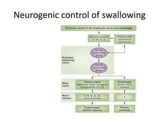 Physiology Of GIT Mastication and Deglutition reflex.pptx