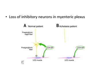 Physiology Of GIT Mastication and Deglutition reflex.pptx