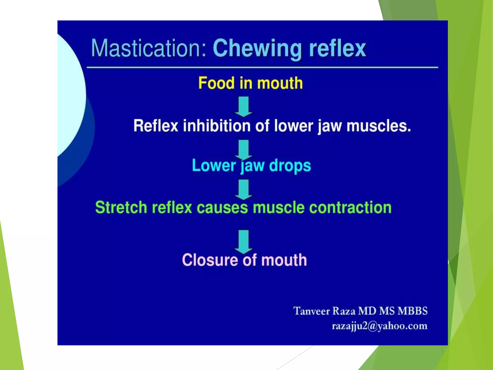 MASTICATION AND SWALLOWING.pptx